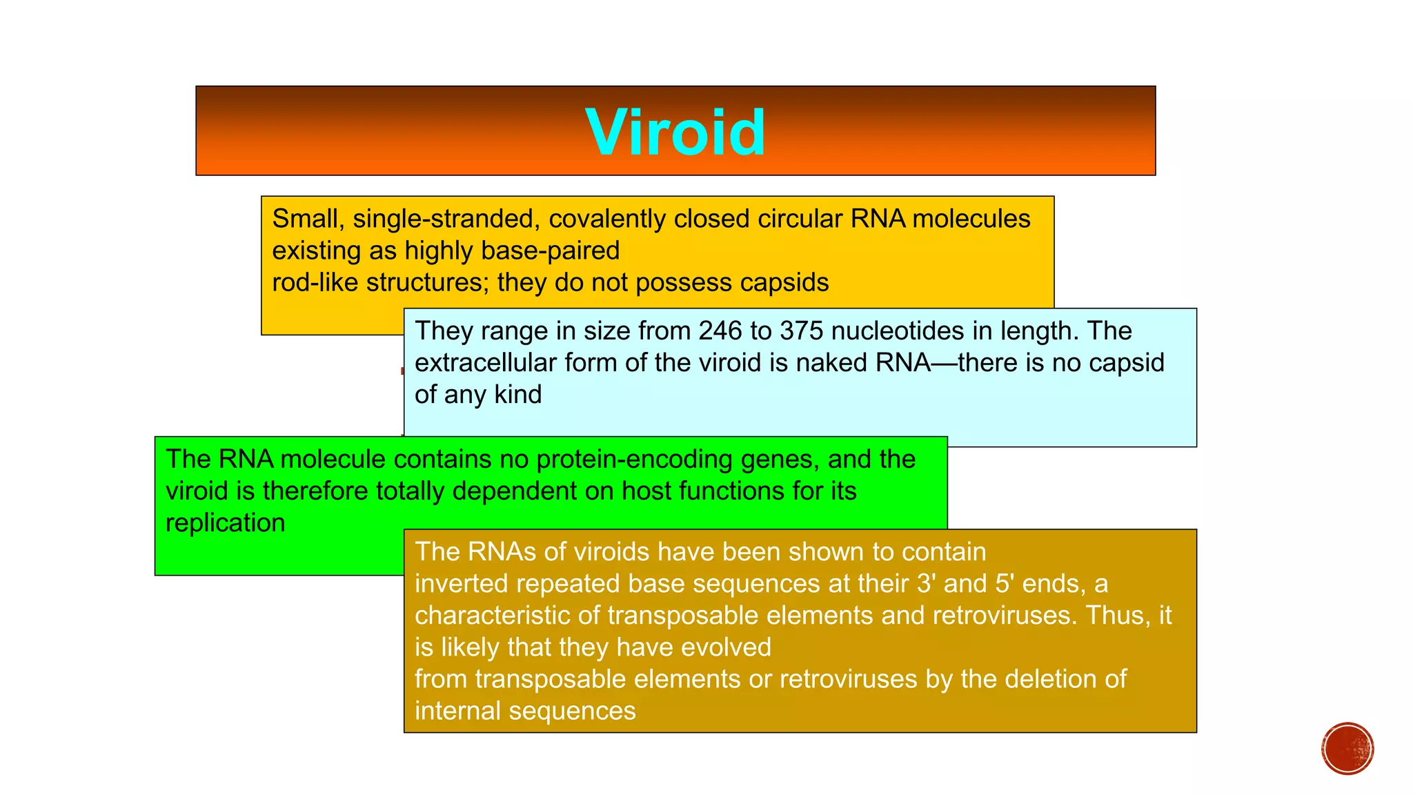 Viruses-size,shape & types | PPTX