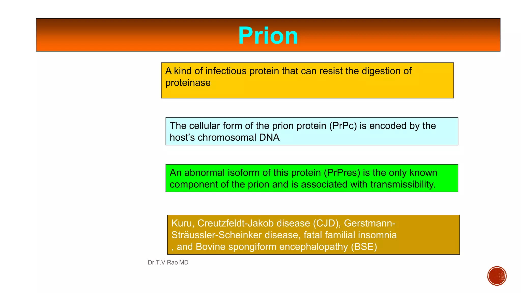 Viruses-size,shape & types | PPTX