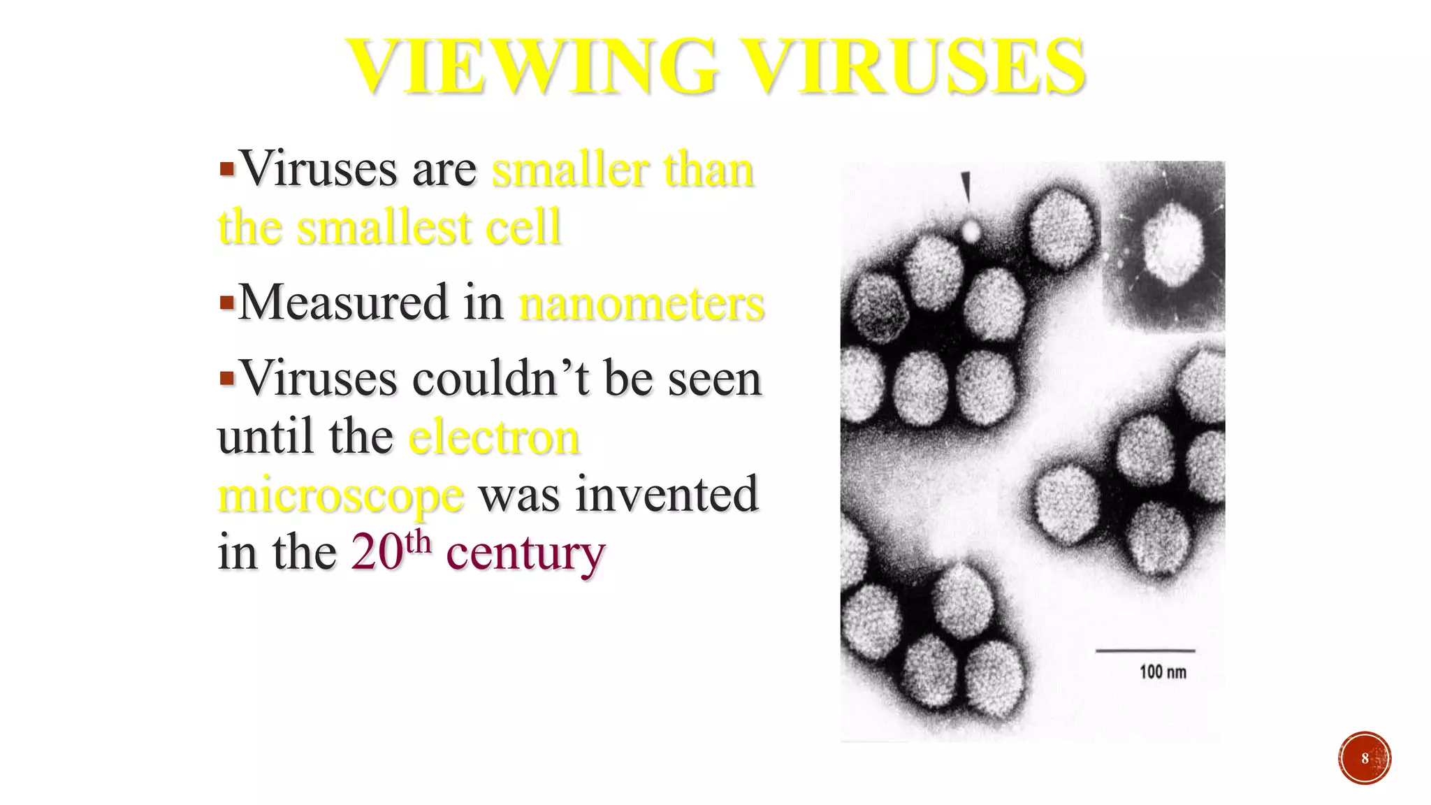 Viruses-size,shape & types | PPTX