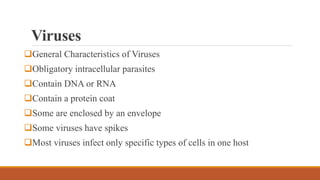 Introduction to Viruses | PPTX
