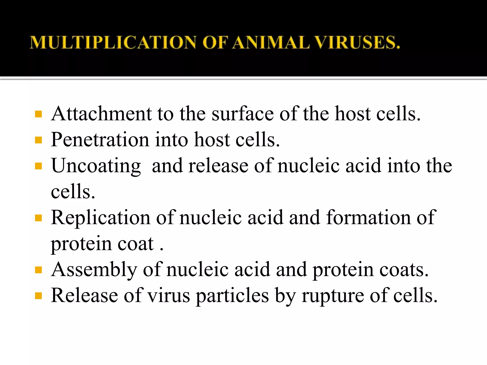VIRUSES CLASSIFICATION , LIFE CYCLE OF VIRUSES. CHARACTERISTICS OF ...