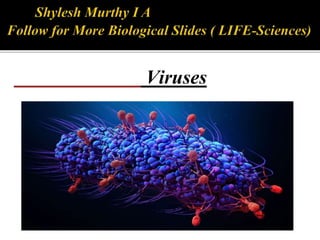 VIRUSES CLASSIFICATION , LIFE CYCLE OF VIRUSES. CHARACTERISTICS OF ...