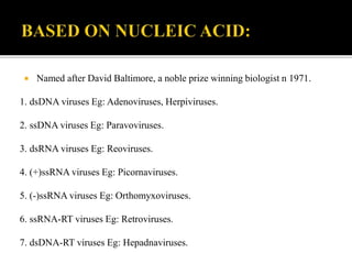VIRUSES CLASSIFICATION , LIFE CYCLE OF VIRUSES. CHARACTERISTICS OF ...