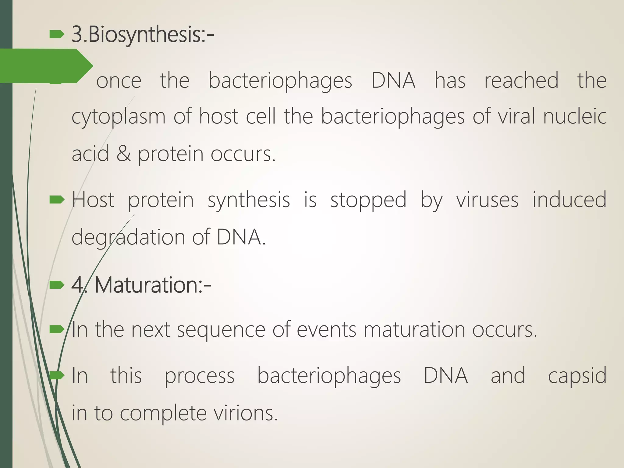 Viruses-definition, classification, replication, cultivation of viruses ...