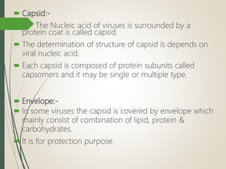 Viruses-definition, classification, replication, cultivation of viruses ...