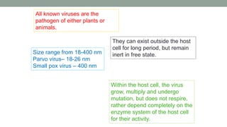 Viruses | PPTX