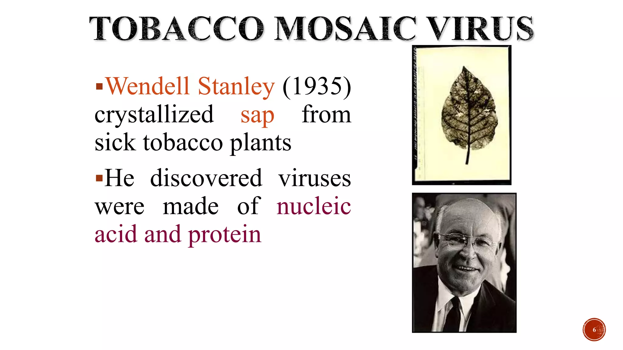 Viruses- Pharmaceutical Microbiology | PPTX