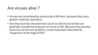 Viruses Honor | PPTX | Infectious Diseases | Diseases and Conditions