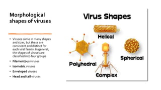 Viruses Honor | PPTX | Infectious Diseases | Diseases and Conditions