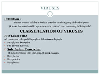 VIRUSES.pptx