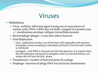 VIRUSES.pptx