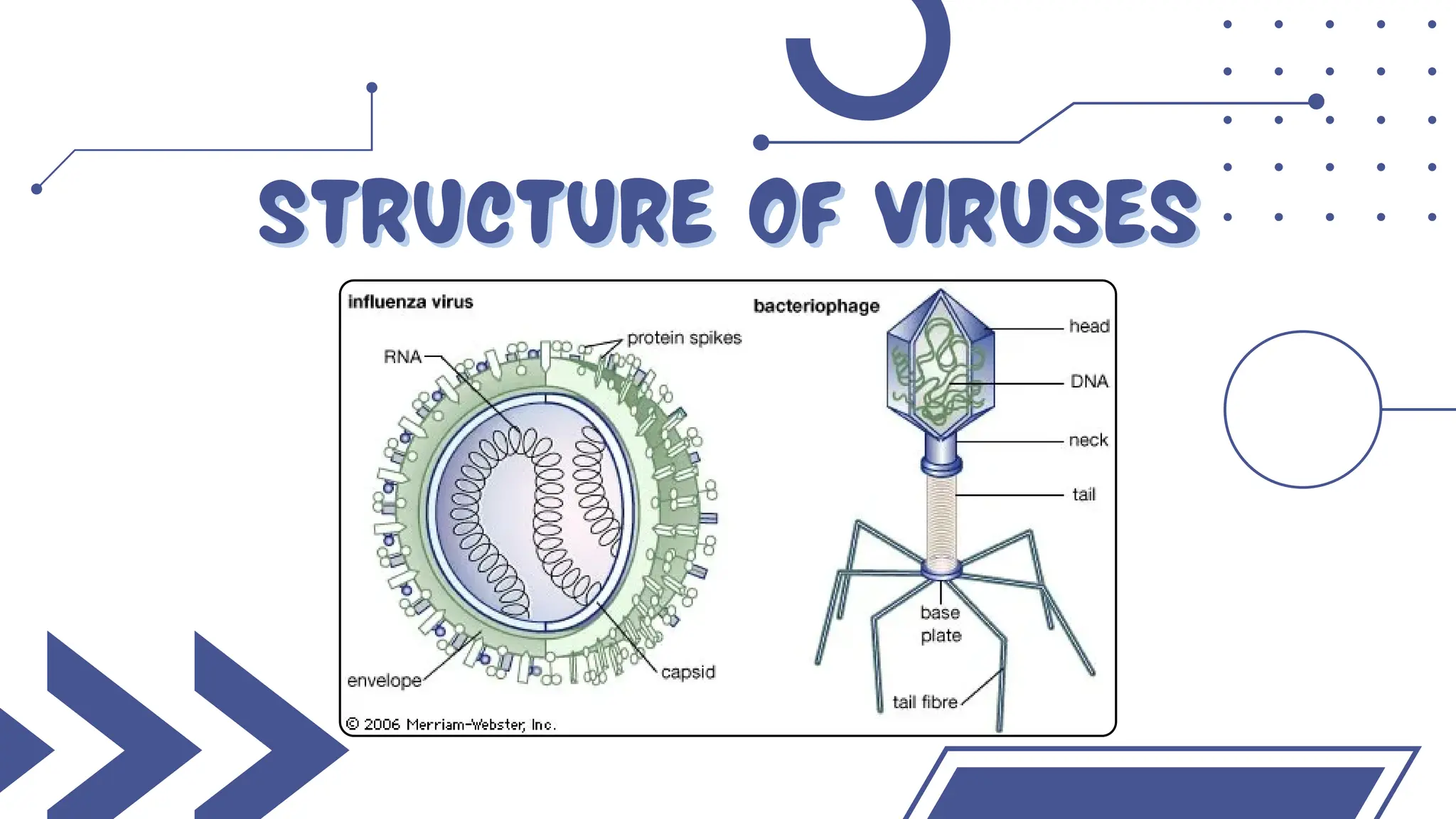 VIRUSES by Group Megatron (Biology Form 5) | PPT
