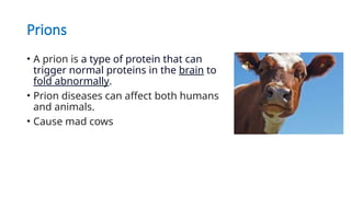 Viruses, bacteriophages, retroviruses and prions | PPT
