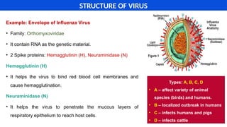Viruses - Exam points Medical Microbiology | PPTX