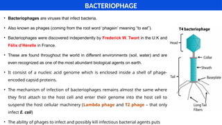 Viruses - Exam points Medical Microbiology | PPTX