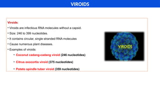 Viruses - Exam points Medical Microbiology | PPT