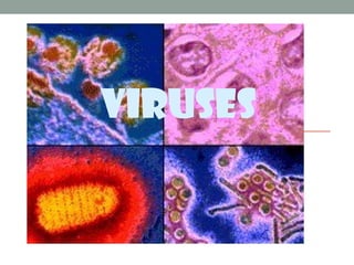 Viruses PowerPoint Presentation High School | PPTX