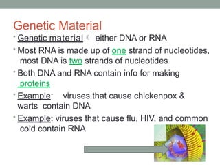 Viruses PowerPoint Presentation High School | PPTX