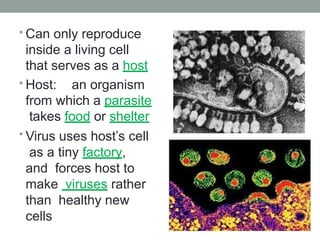 Viruses PowerPoint Presentation High School | PPTX