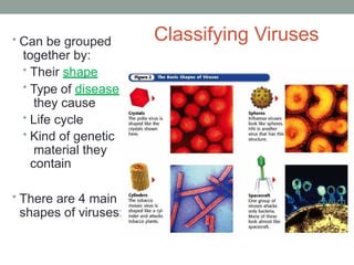 Viruses PowerPoint Presentation High School | PPTX