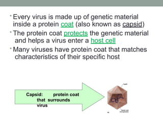 Viruses PowerPoint Presentation High School | PPTX