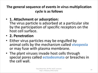 Viruses general characteristics and structure | PPT