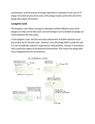 Viruses (History, structure and composition, classification ...