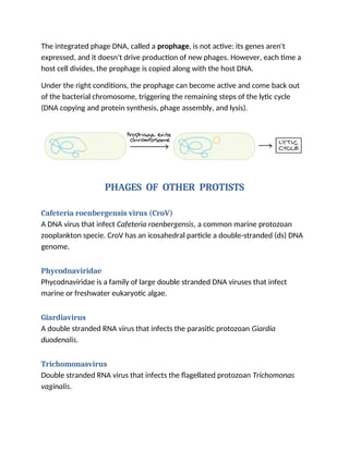 Viruses (History, structure and composition, classification ...