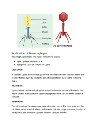Viruses History Structure And Composition Classification