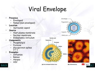 Viruses affecting man; entymology; definition; classification; virus ...