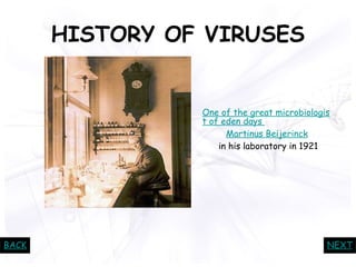 Viruses affecting man; entymology; definition; classification; virus ...