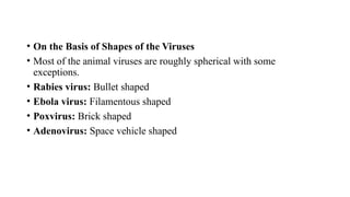 Viruses, classification, lifecycle.pptx