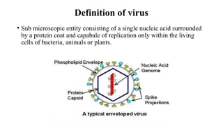 Viruses, classification, lifecycle.pptx