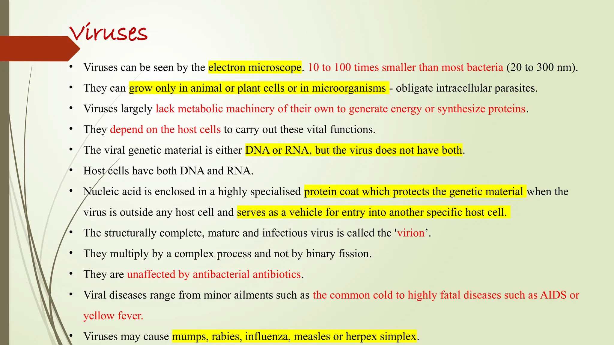 Viruses- classification, multiplication and cultivation.pptx