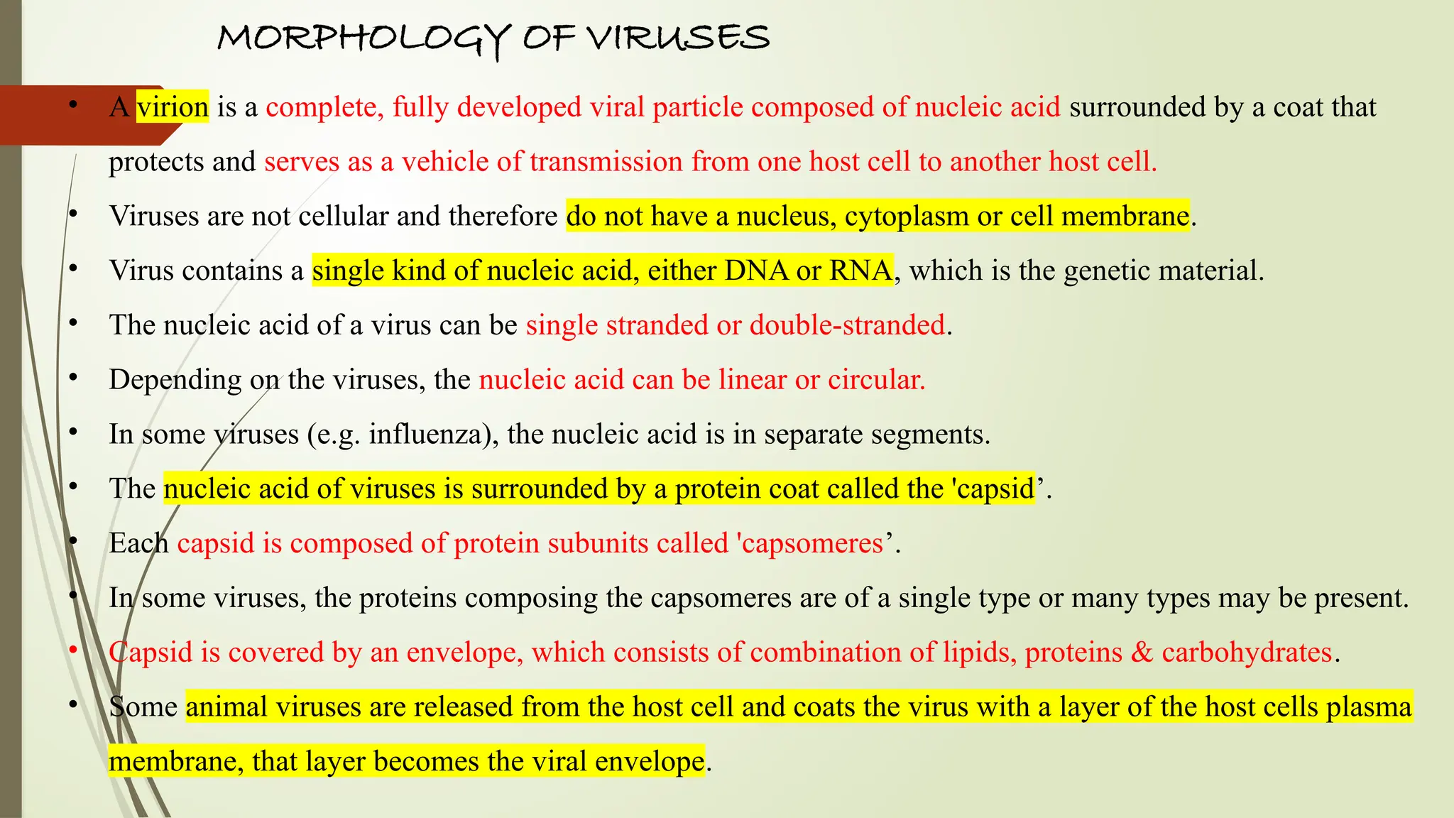 Viruses- classification, multiplication and cultivation.pptx
