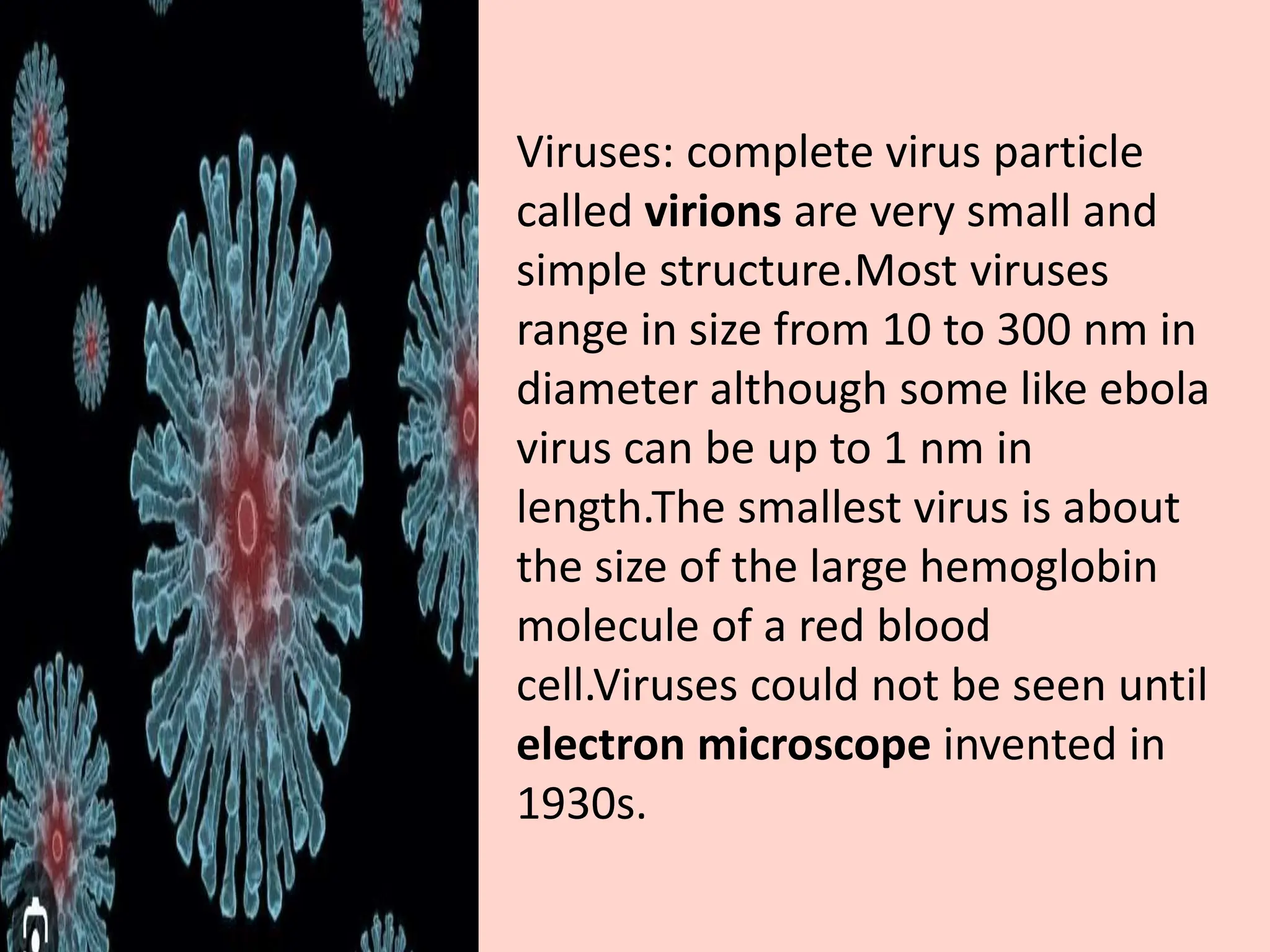 Viruses-and-other organisms-WPS-Office.pptx