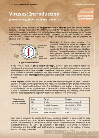 Viruses - introduction.pptviruses viruses | PPT