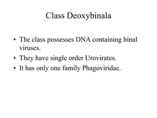 Viruses ...in detail | PPT