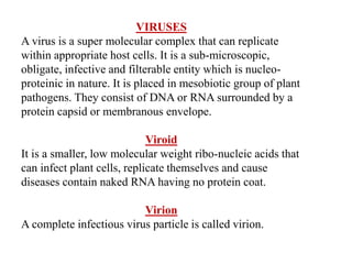 Viruses ...in detail | PPT