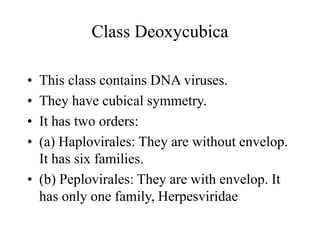 Viruses ...in detail | PPT