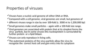 viruses, characteristics, and transmission.pptx
