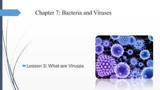 Viruses | PPTX