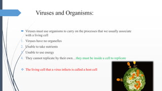 Viruses | PPT
