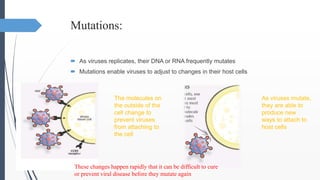 Viruses | PPT