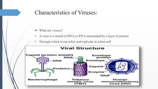 Viruses | PPTX