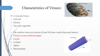 Viruses | PPT | Free Download
