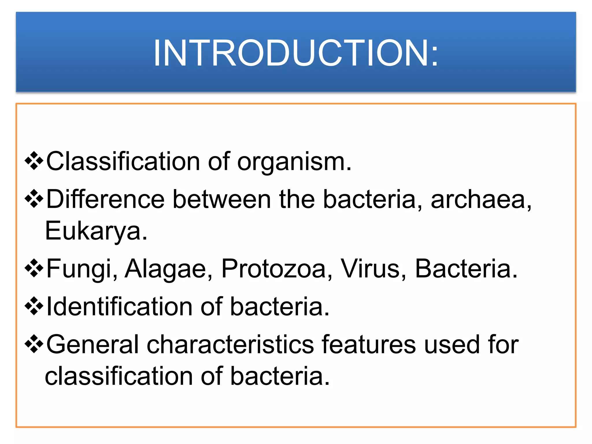 viruses algae fungi bacteria.pdf