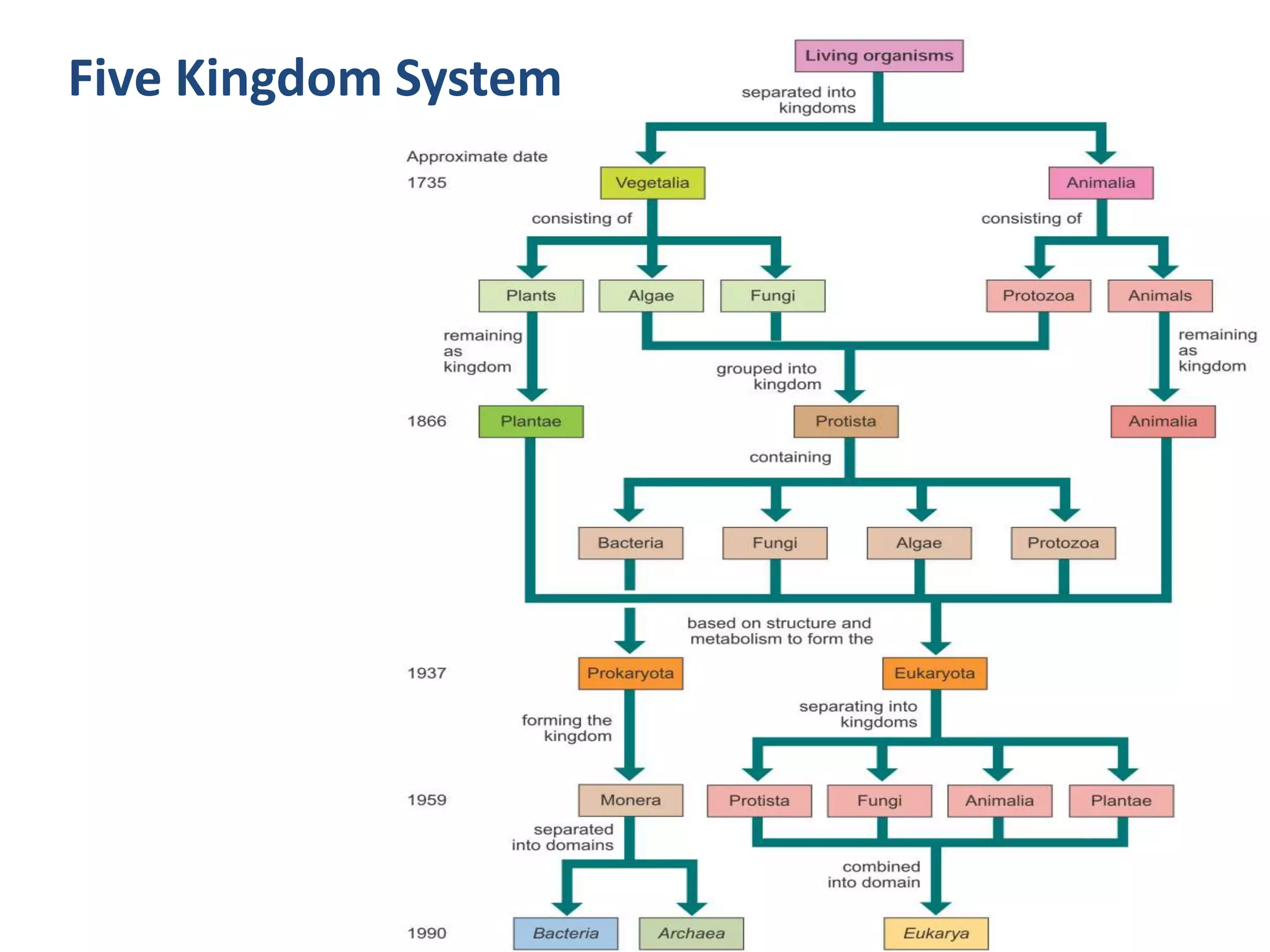 viruses algae fungi bacteria.pdf