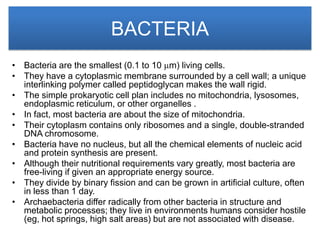 viruses algae fungi bacteria.pdf