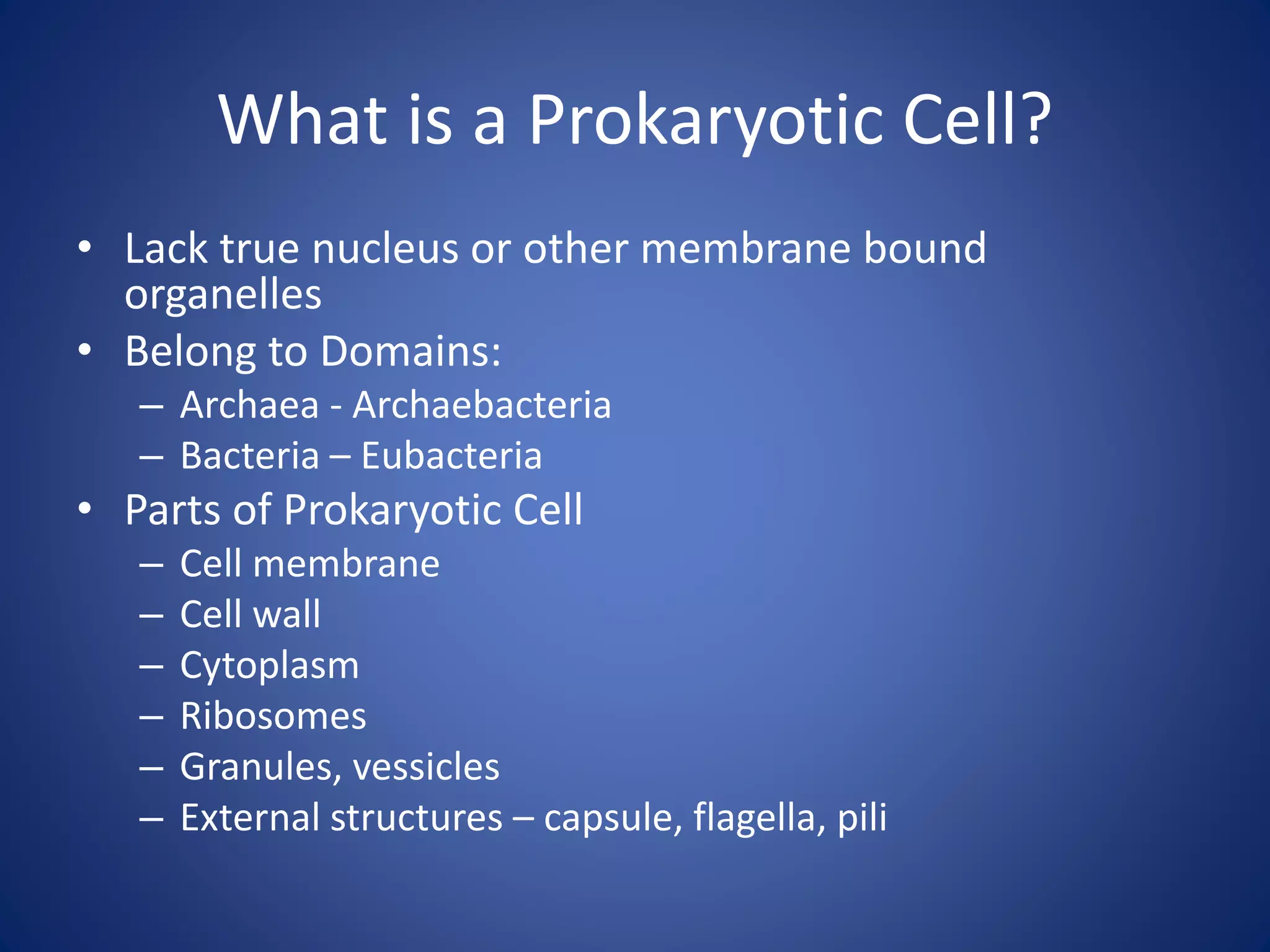 Viruses and Bacteria | PPTX
